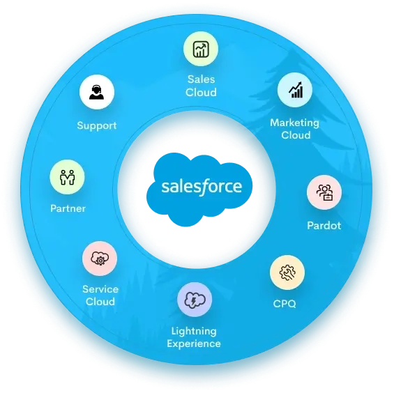Salesforce Professional Services - Ksolves