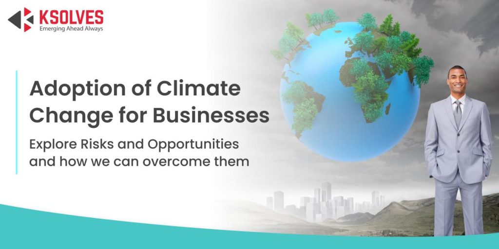 Climate Change: Risks and Opportunities for Businesses in 2024