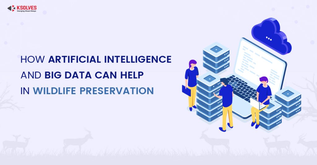 How Artificial Intelligence and Big Data Aid Wildlife Preservation