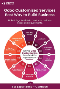 Benefits of Customizing Odoo ERP Software for Business Productivity