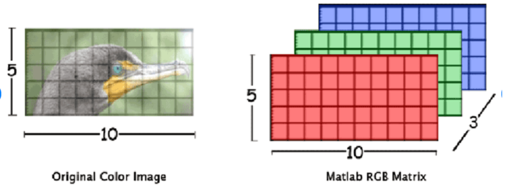 A Comprehensive Guide to Understanding CNN Architecture in Deep Learning