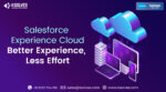 Salesforce Experience Cloud: Better Experience, Less Effort - Ksolves